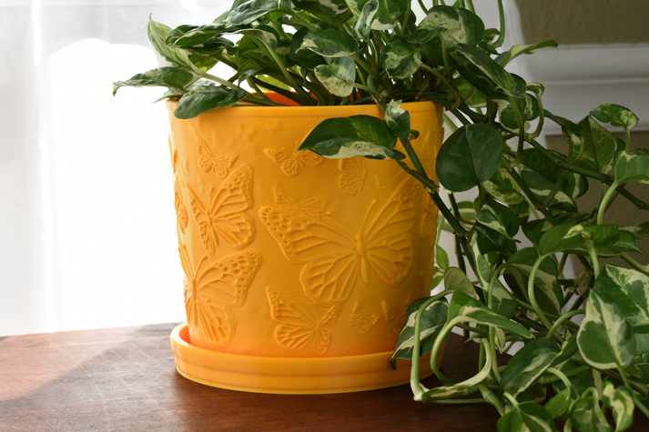 Medium Butterfly Planter 6-inch Pot, Multiple Color Options, Indoor/Ou ...