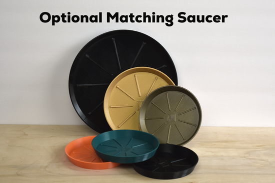 Small Alligator Planter, Multiple Color Options, 4.5-inch Pot – GLU3D ...