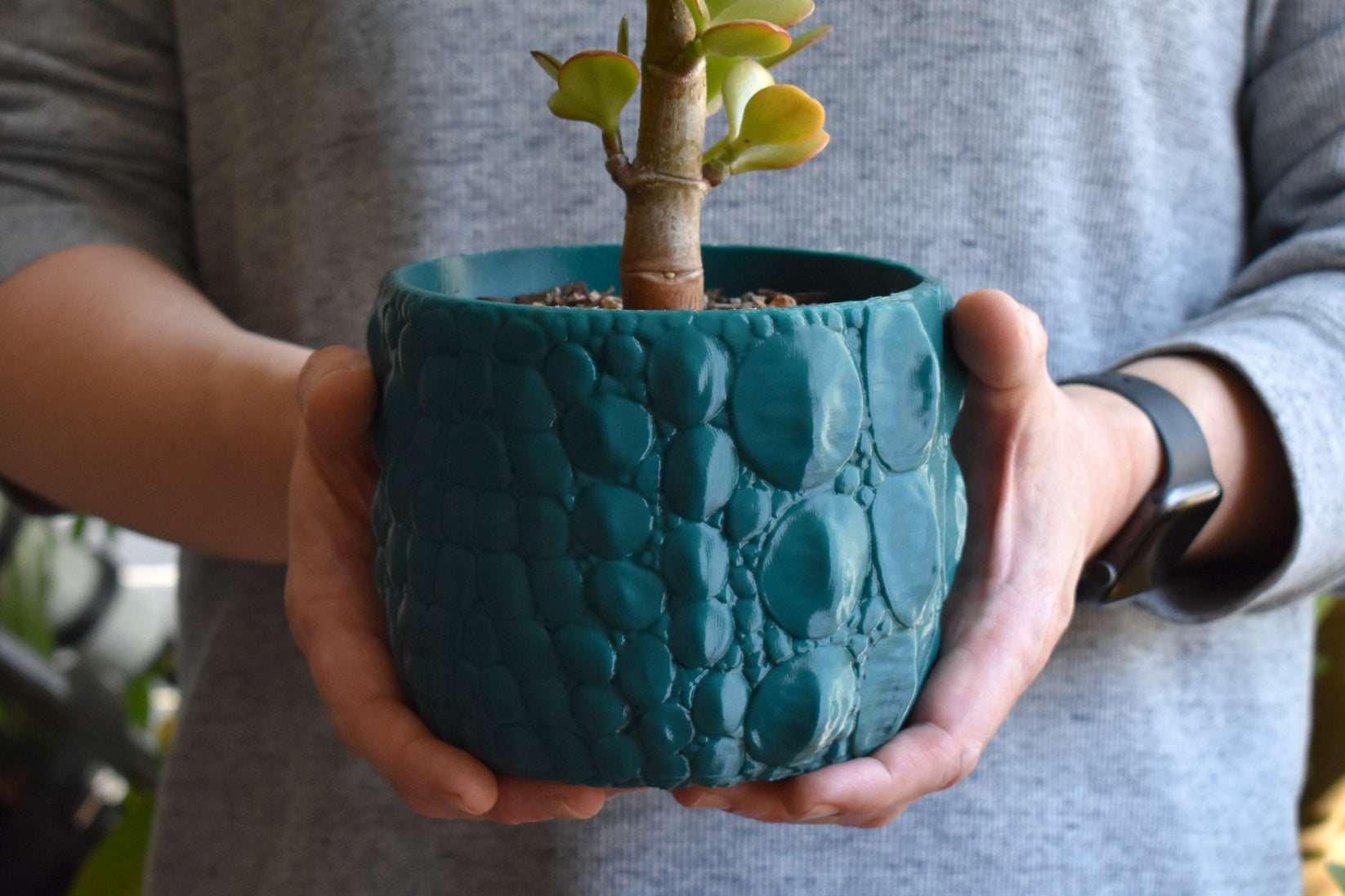 Medium Alligator Planter Decor, 6-inch Pot, Multiple Color Options, In ...