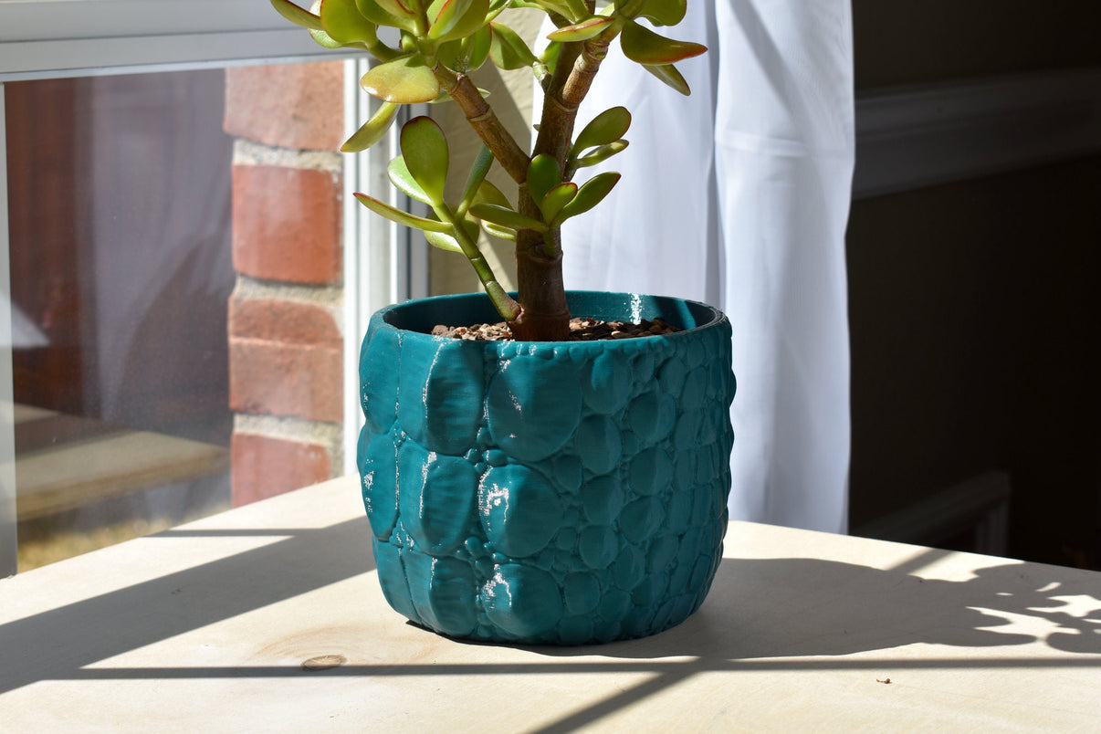 Medium Alligator Planter Decor, 6-inch Pot, Multiple Color Options, In ...