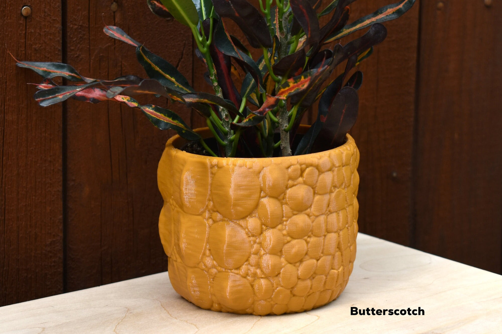 4-inch Alligator Planter Pot with Optional Drainage, Outdoor Safe ...