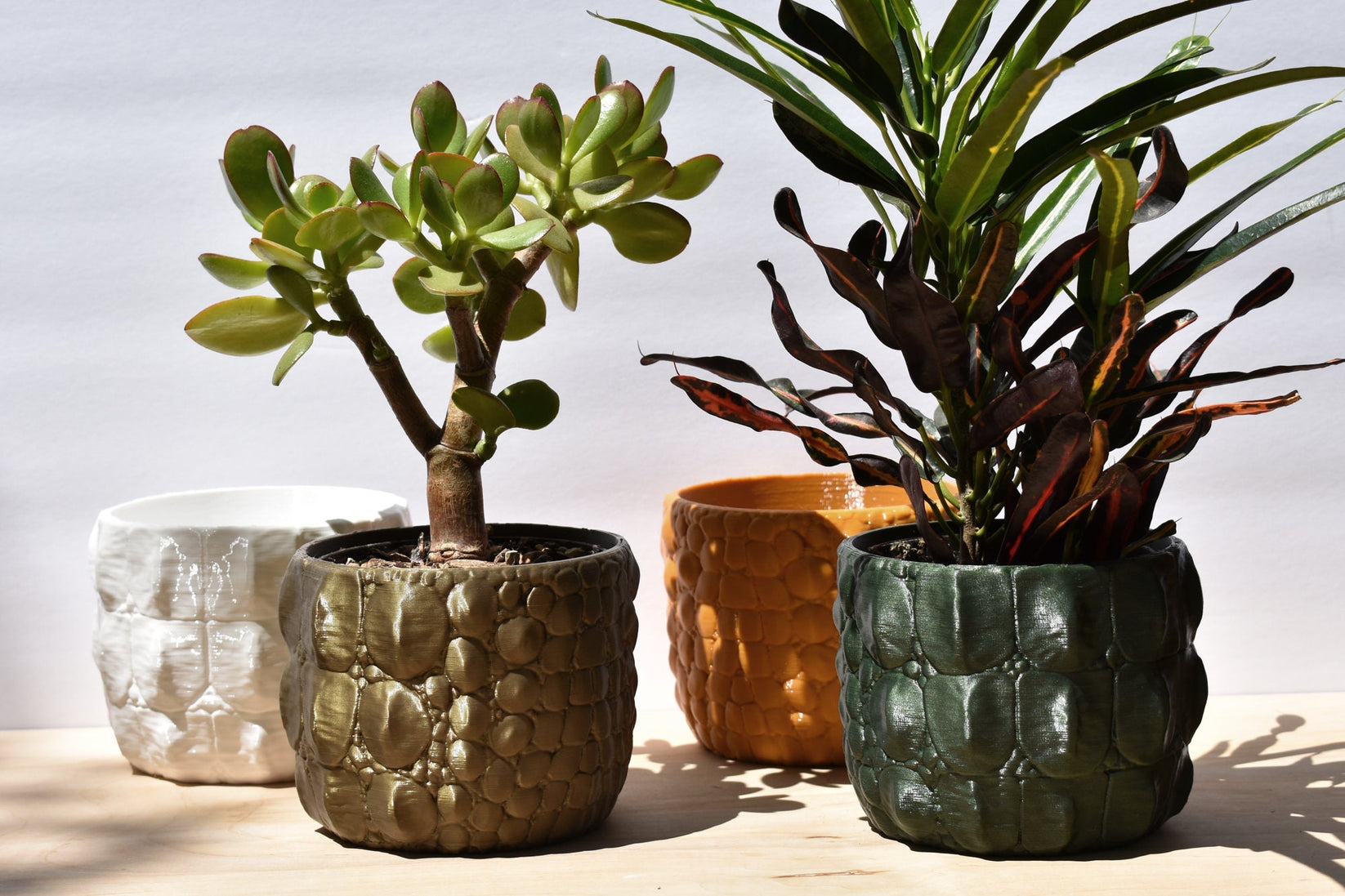 Small Alligator Planter, Multiple Color Options, 4.5-inch Pot – GLU3D ...